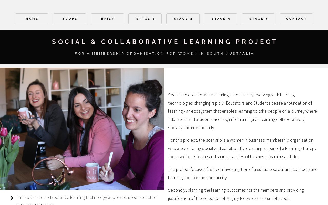 Social and Collaborative Learning